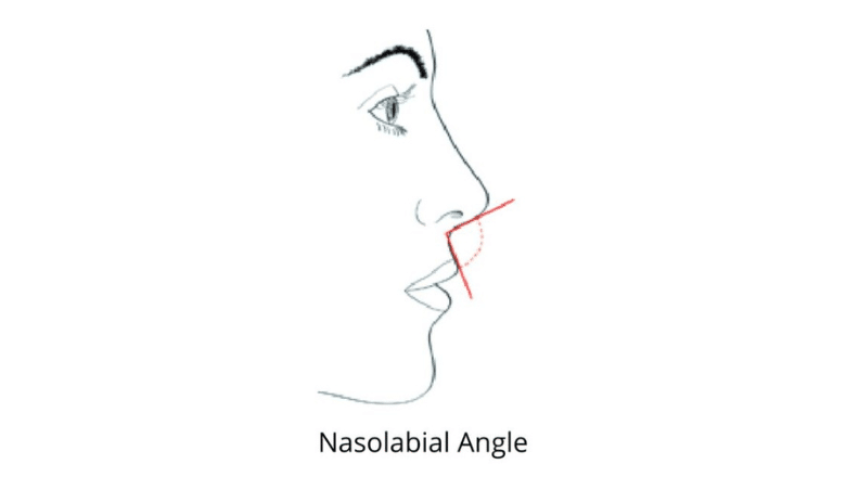 What Does An Attractive Nose Look Like? | Centre for Surgery